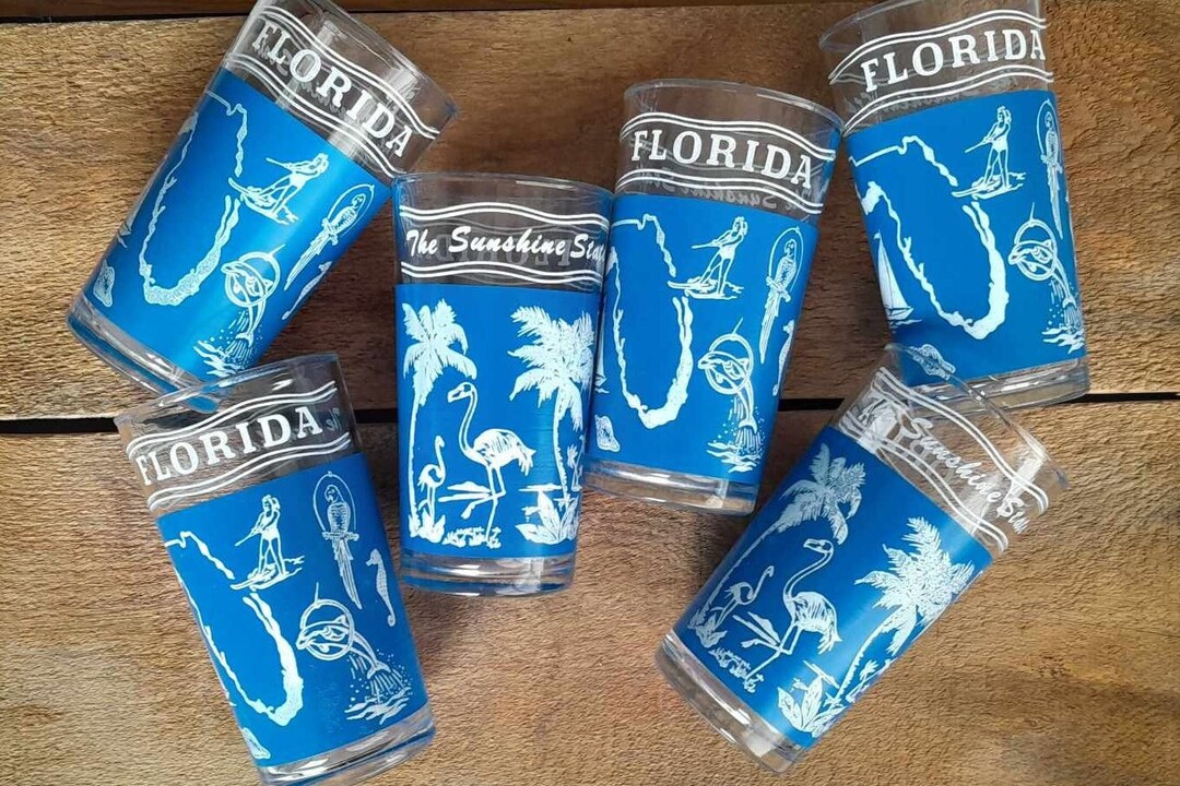 Florida Sunshine State Souvenir, Set of Six 6 Highball Tumblers Blue ...