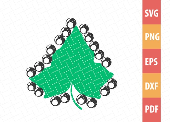 Alpha Kappa Alpha Ivy And Pearls