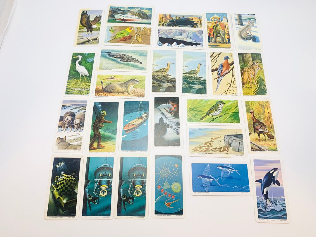 27-1970-71 Red Rose Tea Cards, North American Wildlife in Danger ...