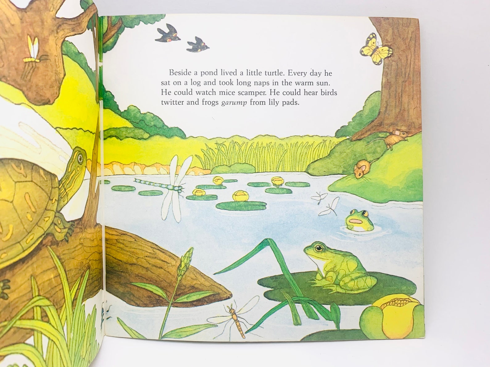 2 1970s Please Read to Me Random House Pictureback Books | Etsy