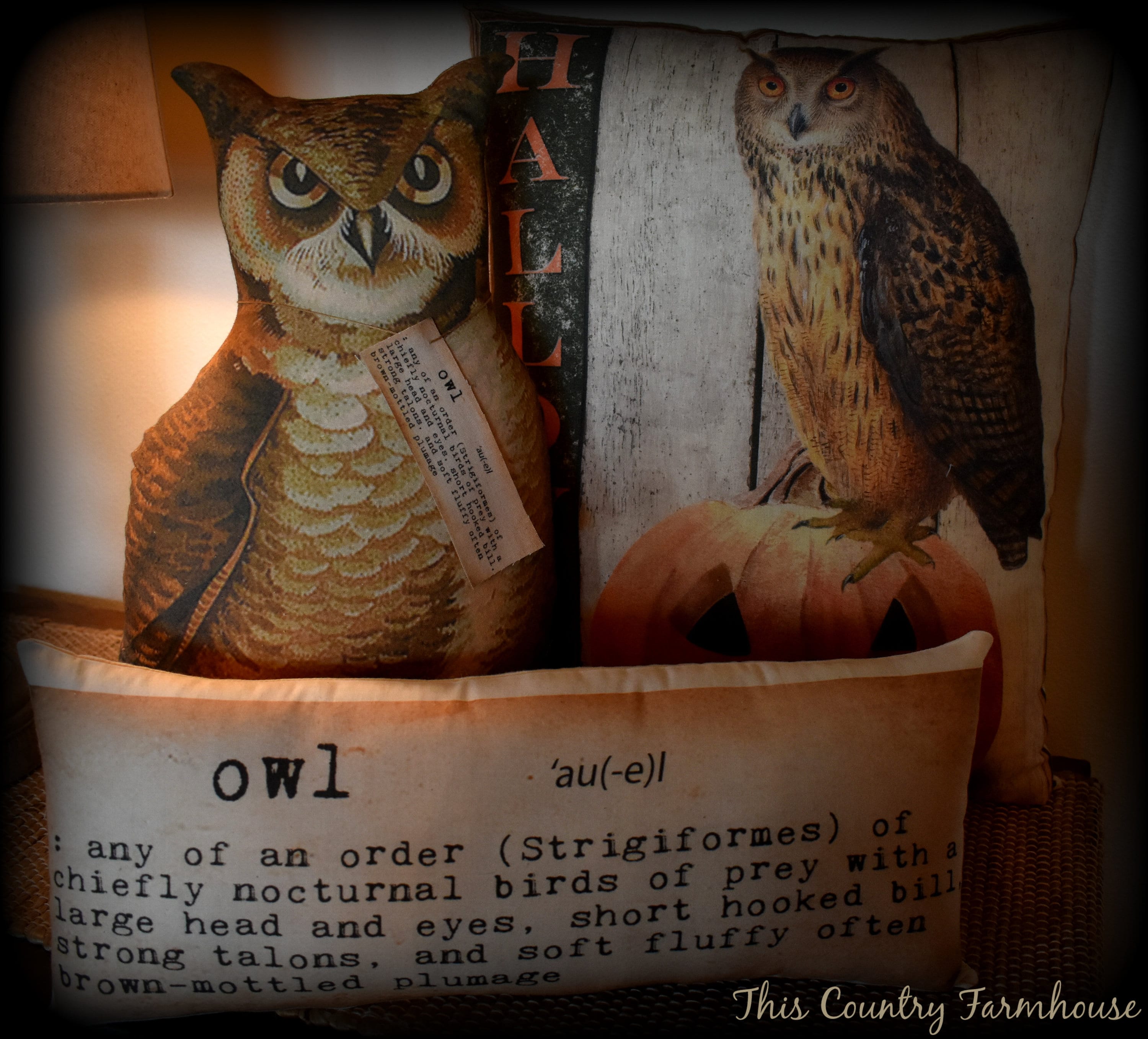 Owl Definition Pillow Tuck - Etsy