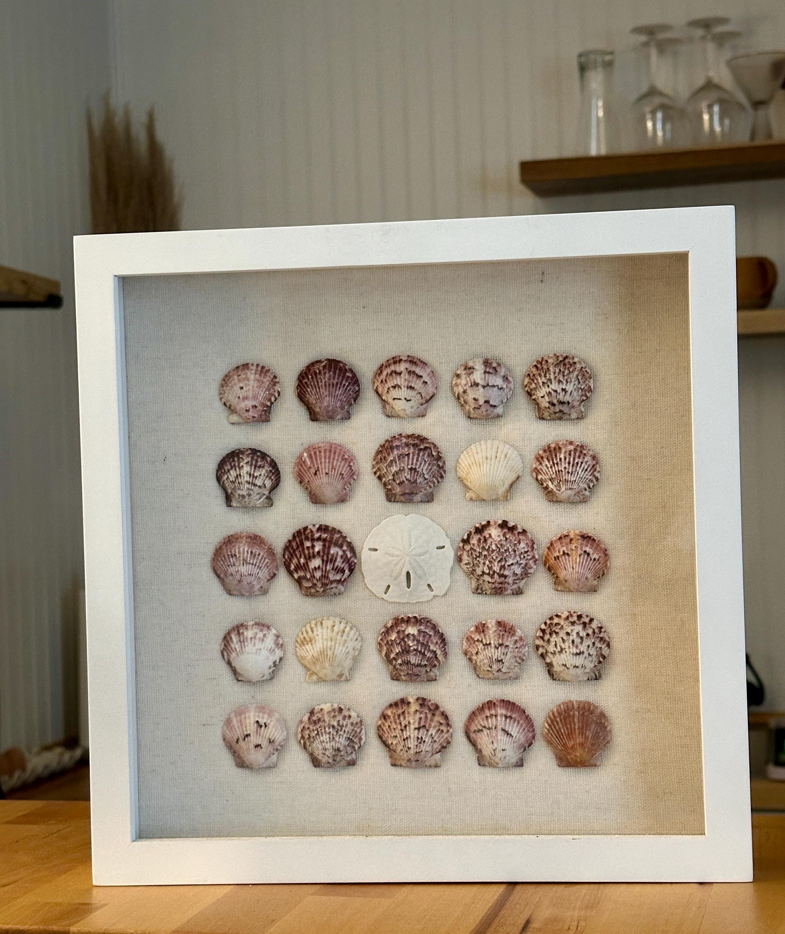 Pink Scallop Shell Shadow Box - Etsy
