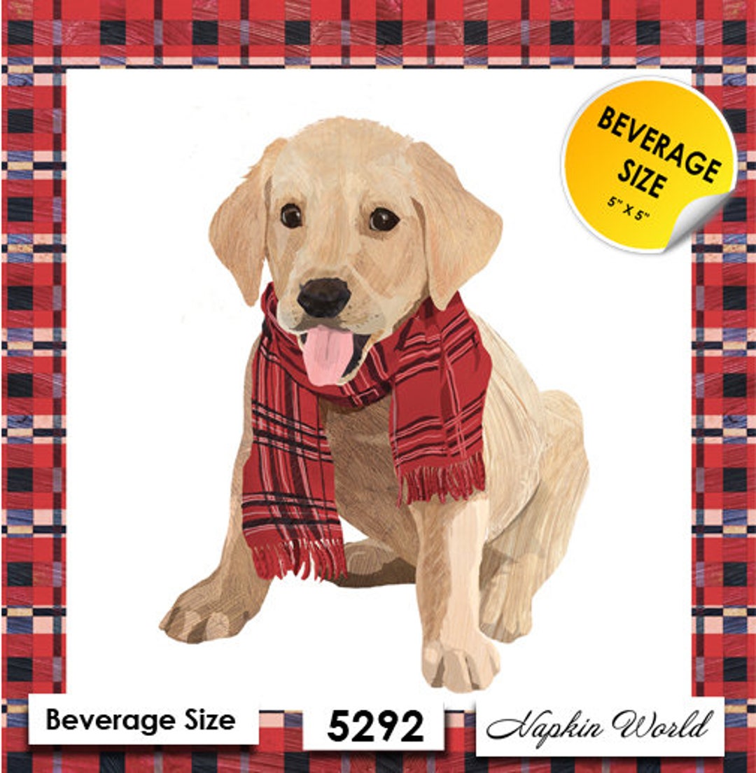 FREE SHIP - Two Paper ***BEVERAGE Size*** Decoupage Art Craft Napkins ...