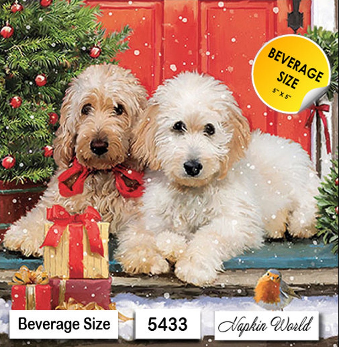 FREE SHIP - Two Paper ***BEVERAGE Size*** Decoupage Art Craft Napkins ...