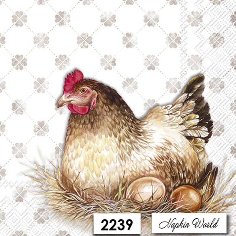 Hen on Nest With Eggs - Etsy