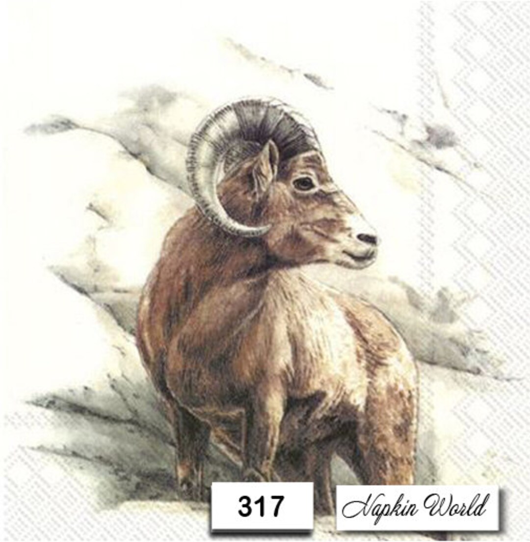 FREE SHIP - Two Paper Luncheon Decoupage Art Craft Napkins - (design ...