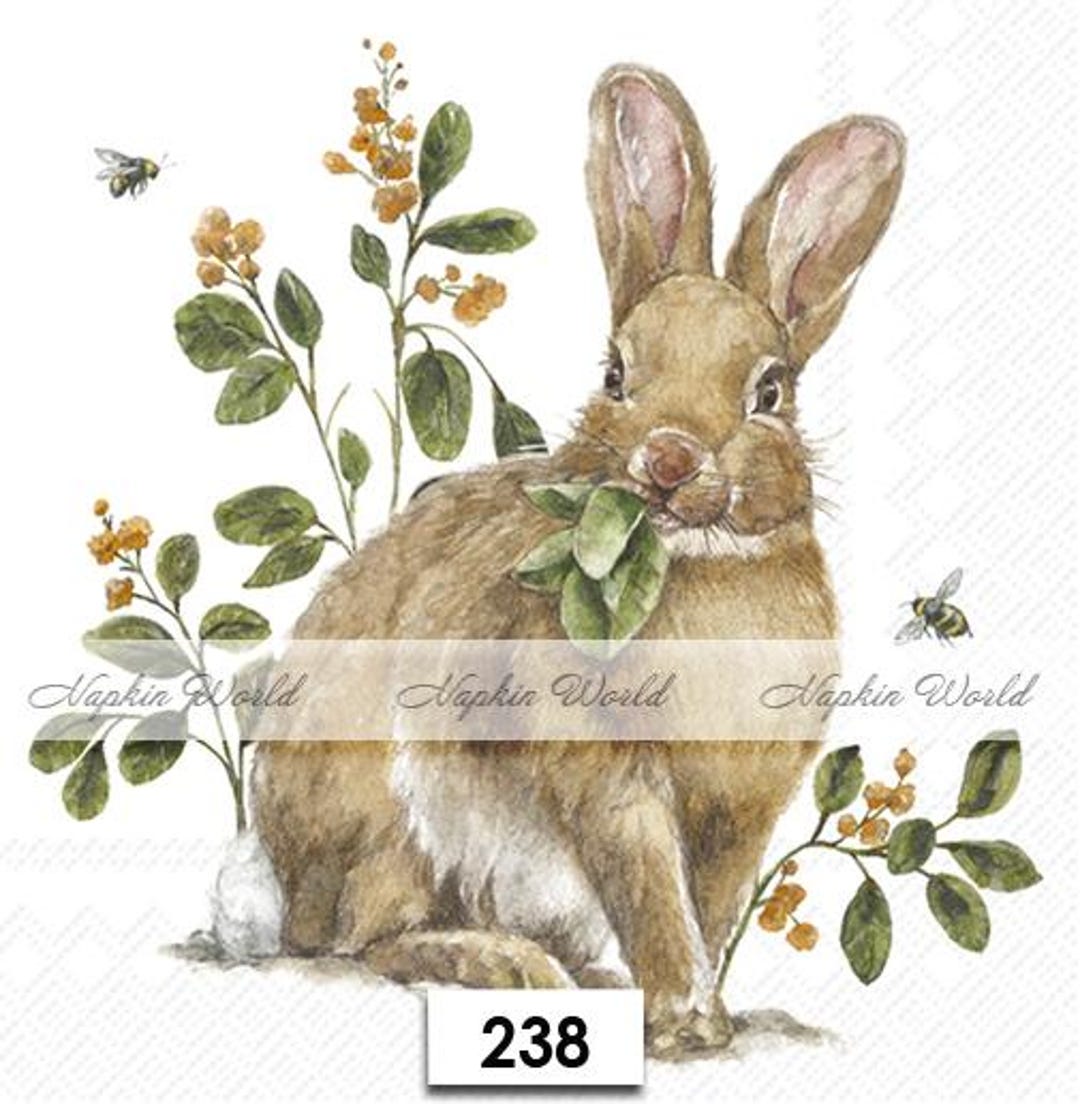 FREE SHIP - Two Paper Luncheon Decoupage Art Craft Napkins - (design ...