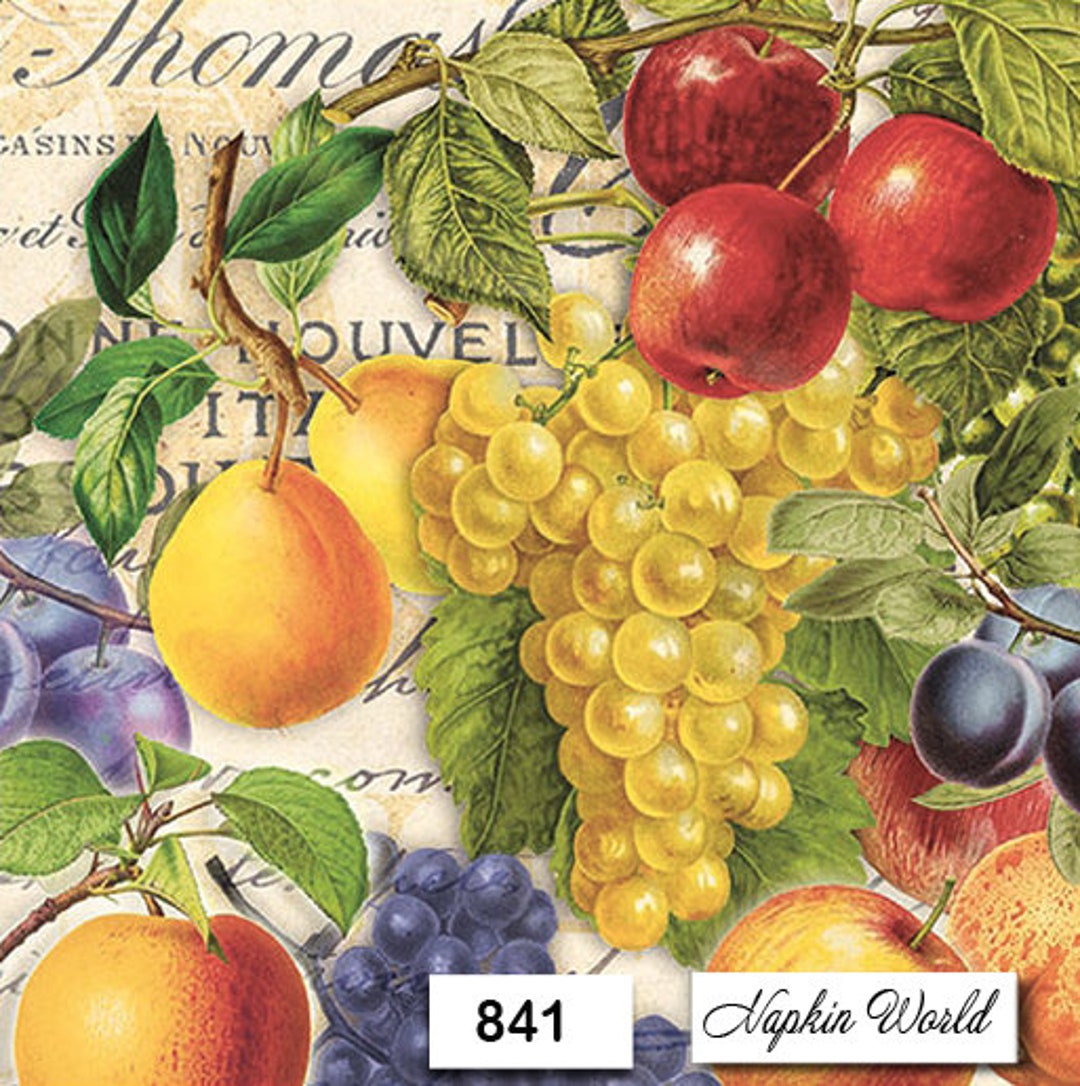 FREE SHIP - Two Paper Luncheon Decoupage Art Craft Napkins - (design ...