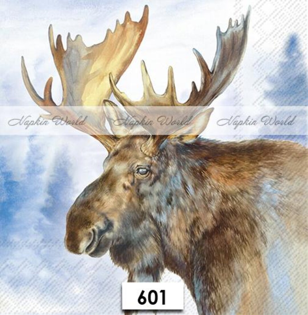 FREE SHIP - Two Paper Luncheon Decoupage Art Craft Napkins - (design ...