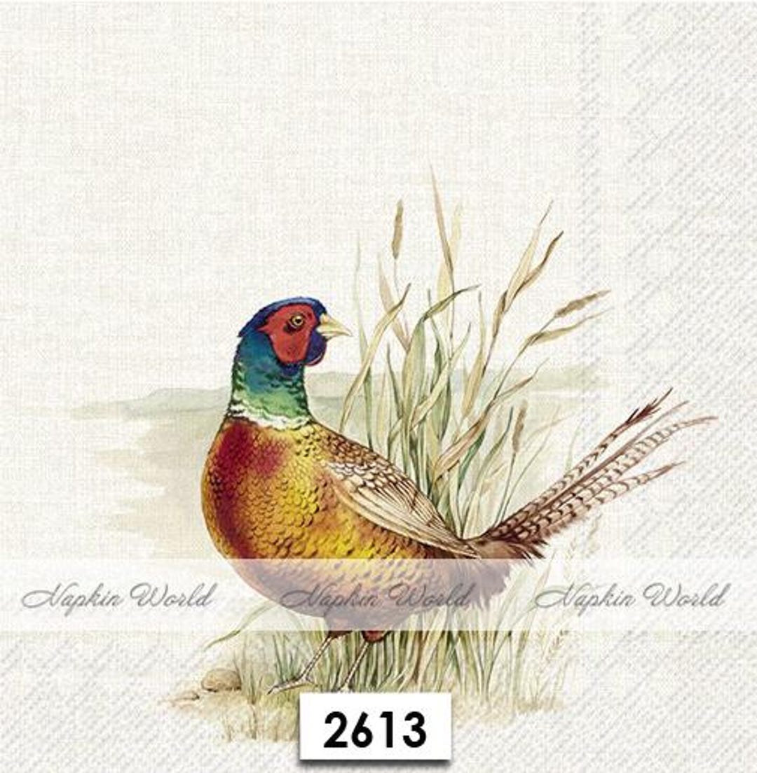 FREE SHIP - Two Paper Luncheon Decoupage Art Craft Napkins - (design ...