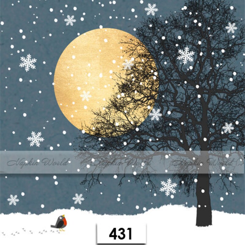 Bird Moon Canvas - Etsy