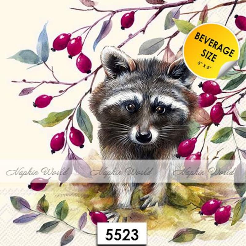 Raccoon Party Napkins - Etsy