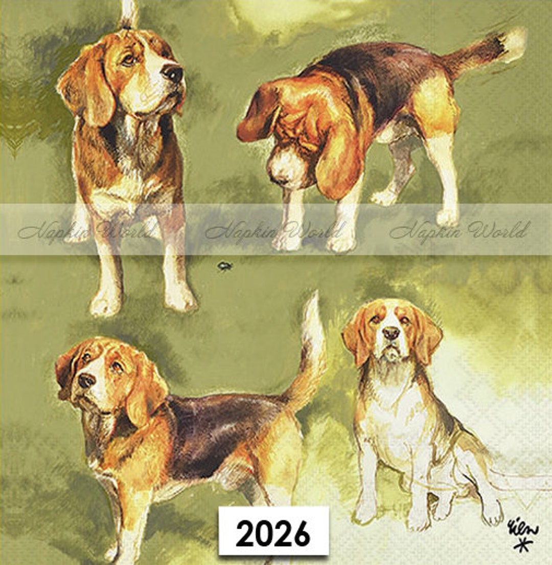 FREE SHIP - Two Paper Luncheon Decoupage Art Craft Napkins - (design ...