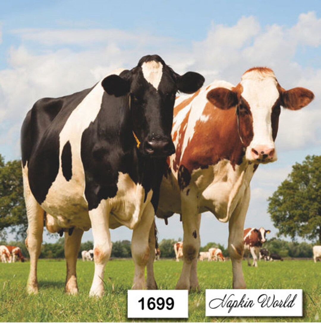 FREE SHIP - Two Paper Luncheon Decoupage Art Craft Napkins - (design ...