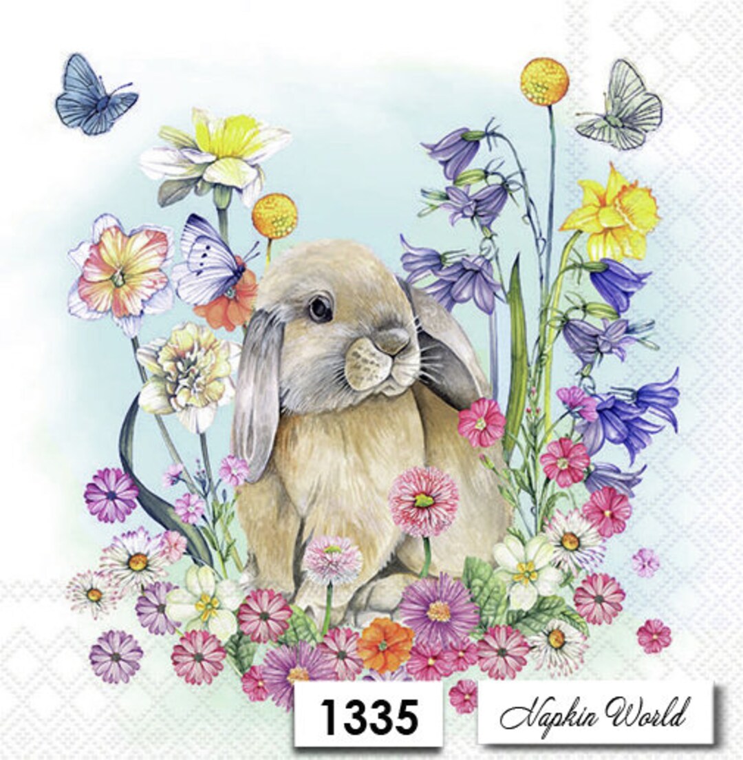 FREE SHIP - Two Paper Luncheon Decoupage Art Craft Napkins - (design ...