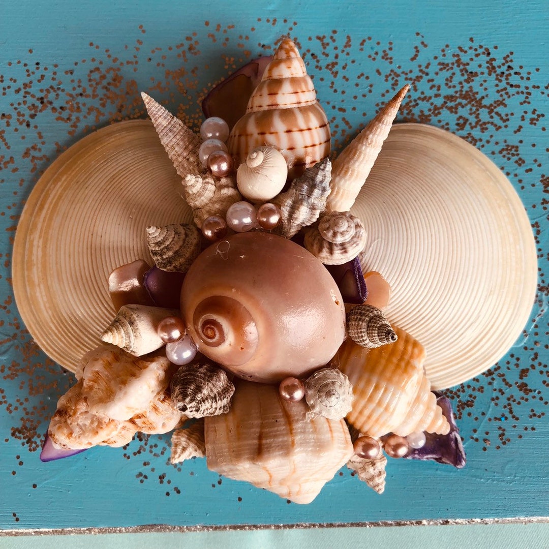 3D Shell Art Light Blue Wall Plaque - Etsy