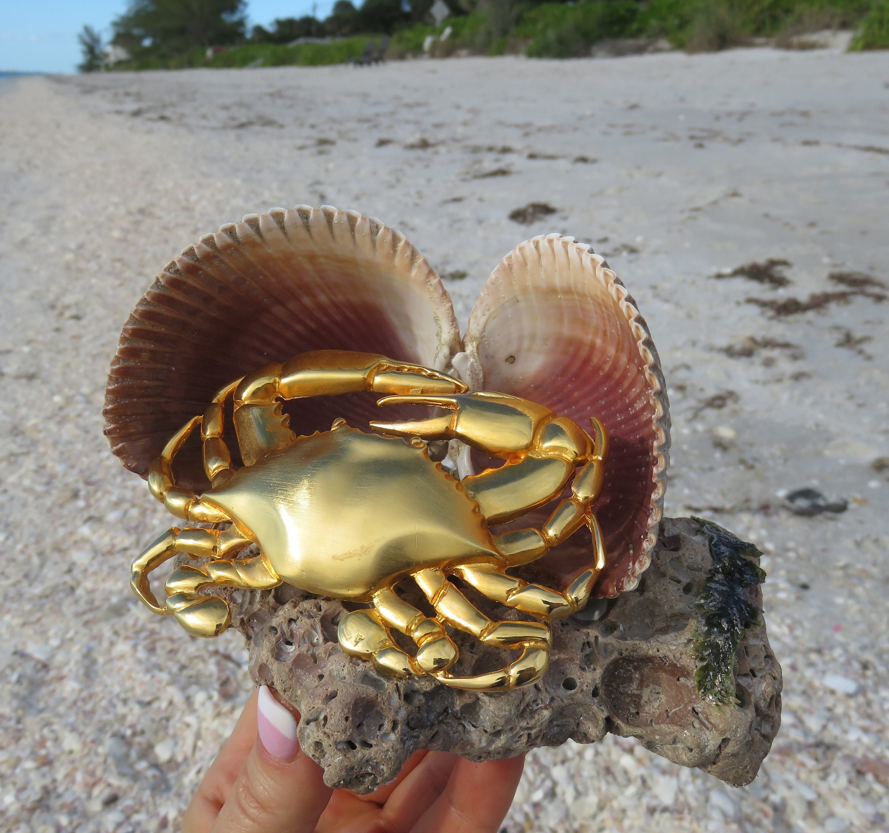Handcrafted Brushed Gold Tone Crab on Beach Rock With Cockle Shell OOAK ...