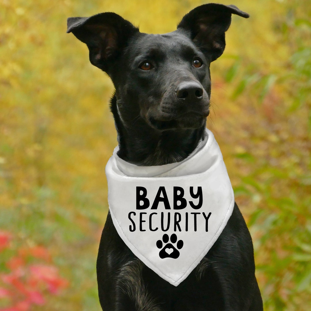 Baby Security Dog Bandana: Big Brother/sister Announcement - Etsy