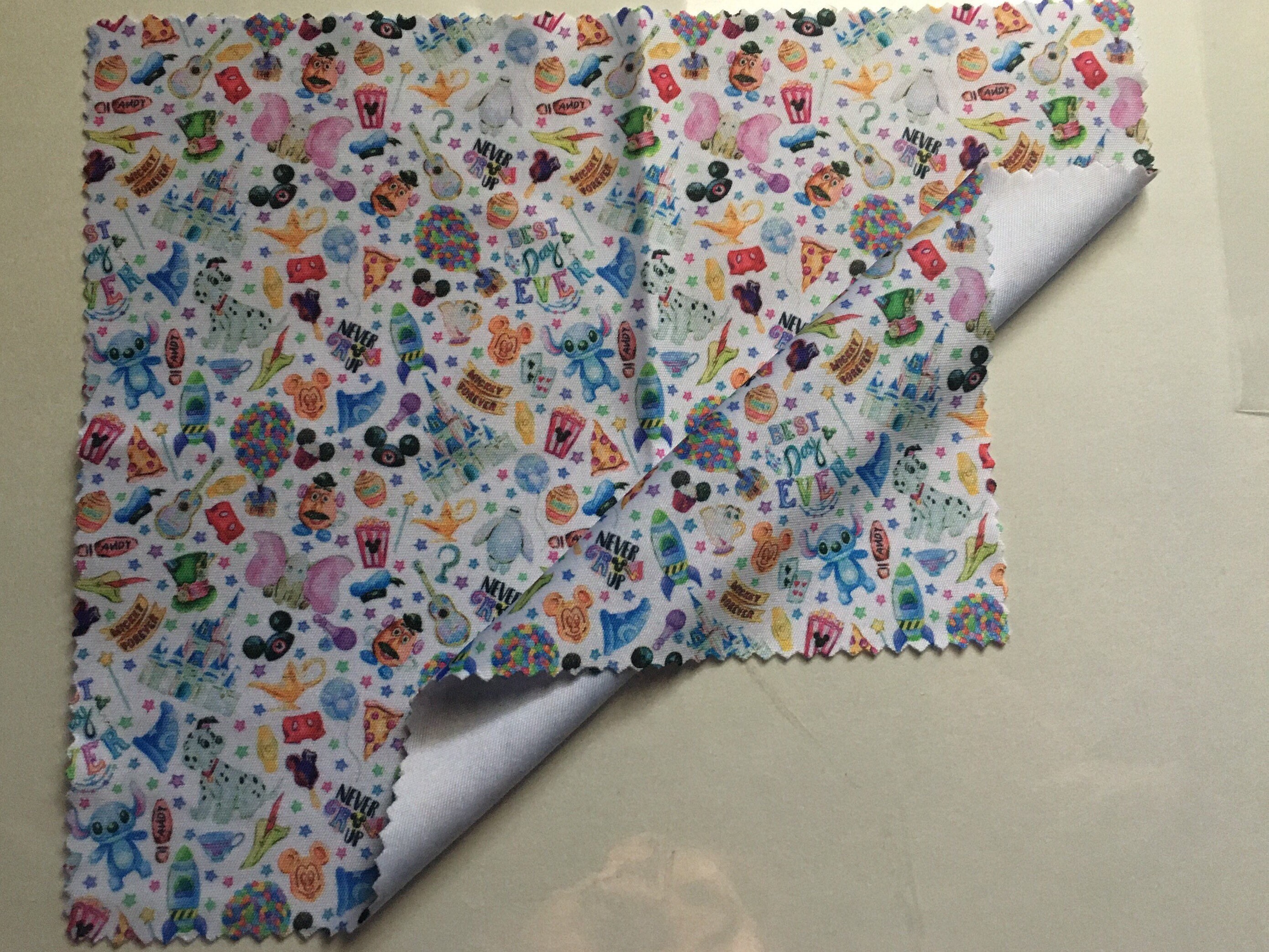 Magic Kingdom Mouse Castle Lens Cloth Glass Cleaning Cloth (LC01) - Etsy