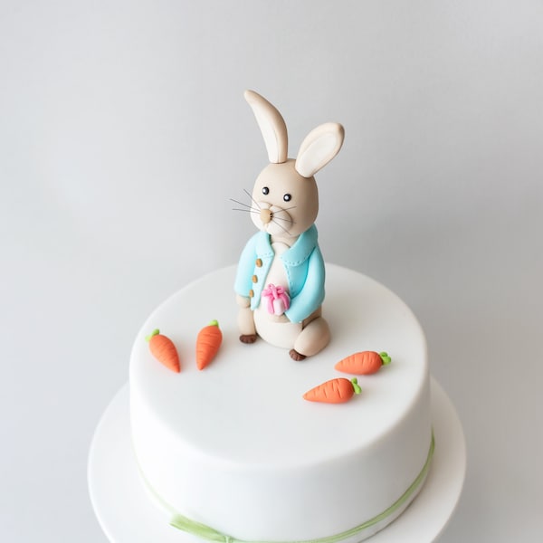 Peter Rabbit Fondant - Etsy