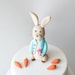 Cute Peter Rabbit 4.5 Tall Fondant Cake Topper With - Etsy UK