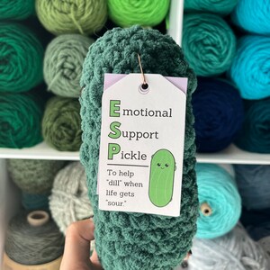 8” Crochet Pickle Plushie, Cute Pickle Stuffie, Emotional Support ...