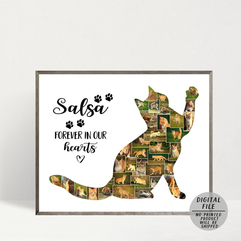 Cat Photo Collage-cat Memorial Collage-custom Cat - Etsy