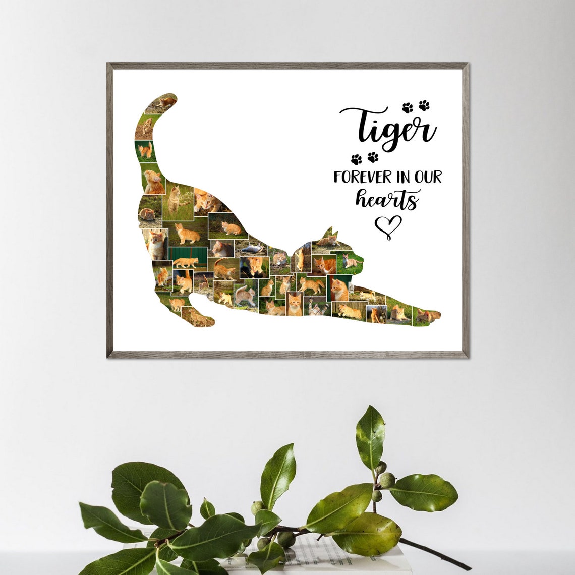 Cat Photo Collage-Pet Memorial Photo Collage-Short Haired Cat | Etsy