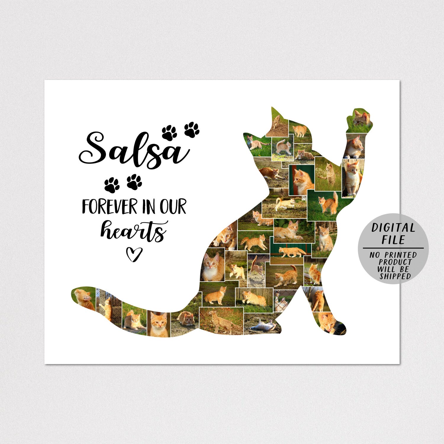 Cat Photo Collage-cat Memorial Collage-custom Cat - Etsy