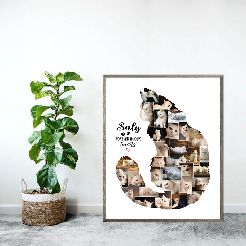 Cat Photo Collage-pet Memorial Collage-long Haired Cat - Etsy