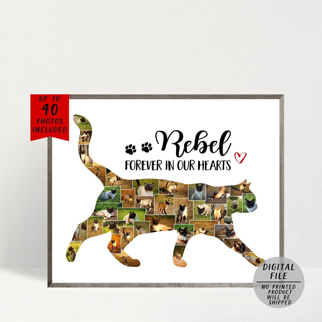 Cat Photo Collage-pet Memorial Photo Collage-short Haired Cat Collage ...