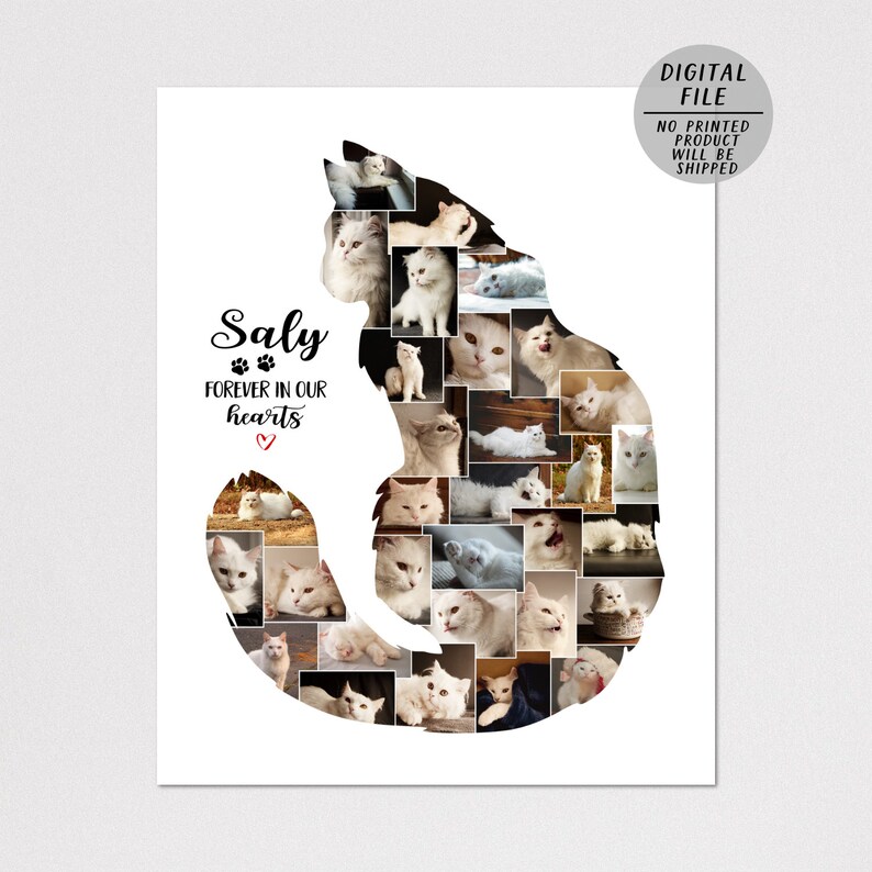 Cat Photo Collage-pet Memorial Collage-long Haired Cat - Etsy