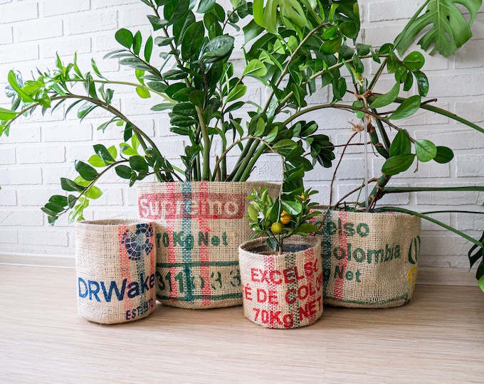 Decorative Cache Pot - Etsy