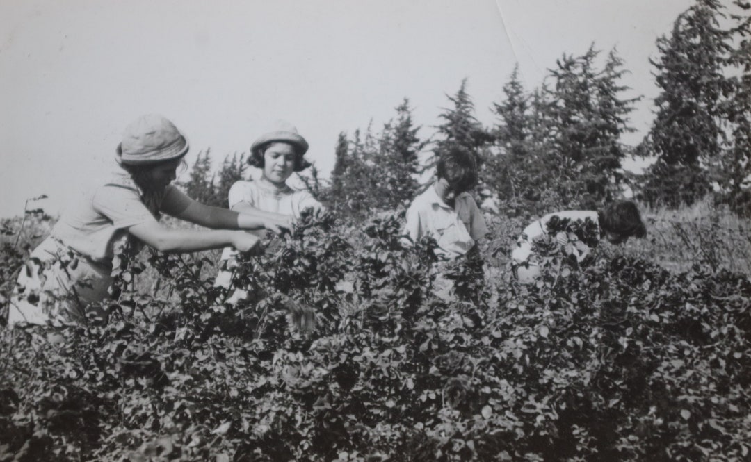 Original Photo, Jewish Orphans From Poland, Working in a Garden in ...