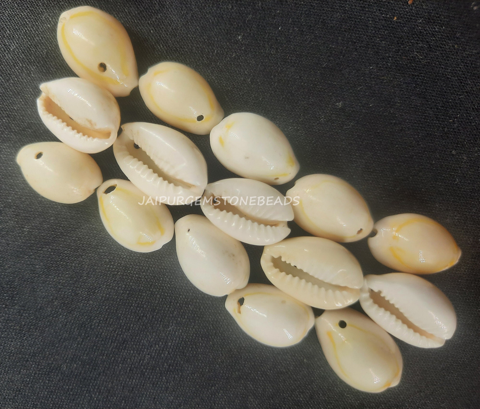 Yellow White Smooth Kaudi Kawri Kodi Money Cowrie Beads Sea | Etsy