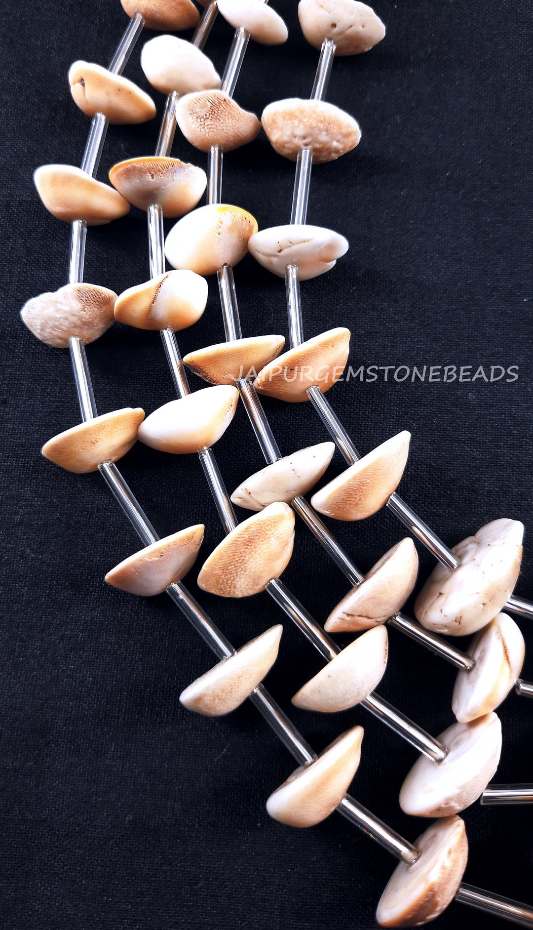 8 Inch Strand Shiva Eye Shell Smooth Coin Shape Gemstone Beads ...