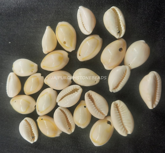 Yellow White Smooth Kaudi Kawri Kodi Money Cowrie Beads Sea | Etsy