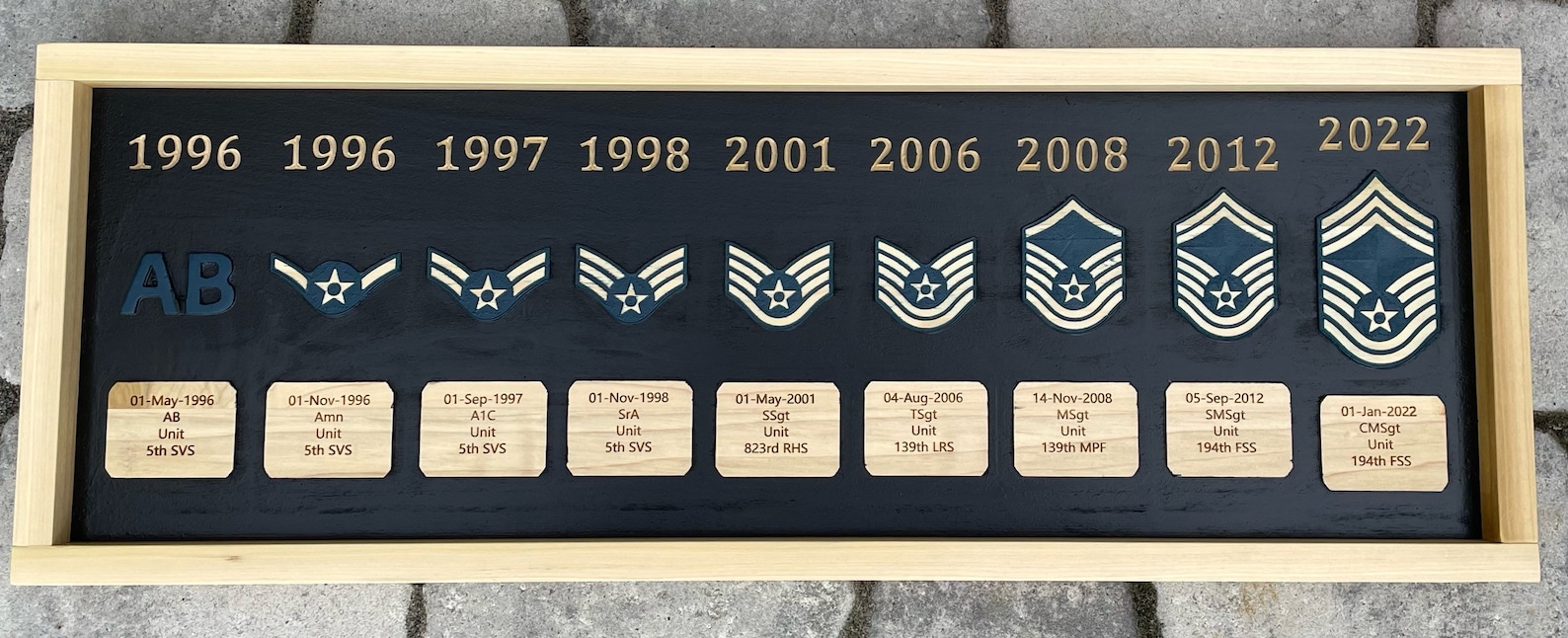 Personalized Enlisted Air Force Career Progression Military - Etsy