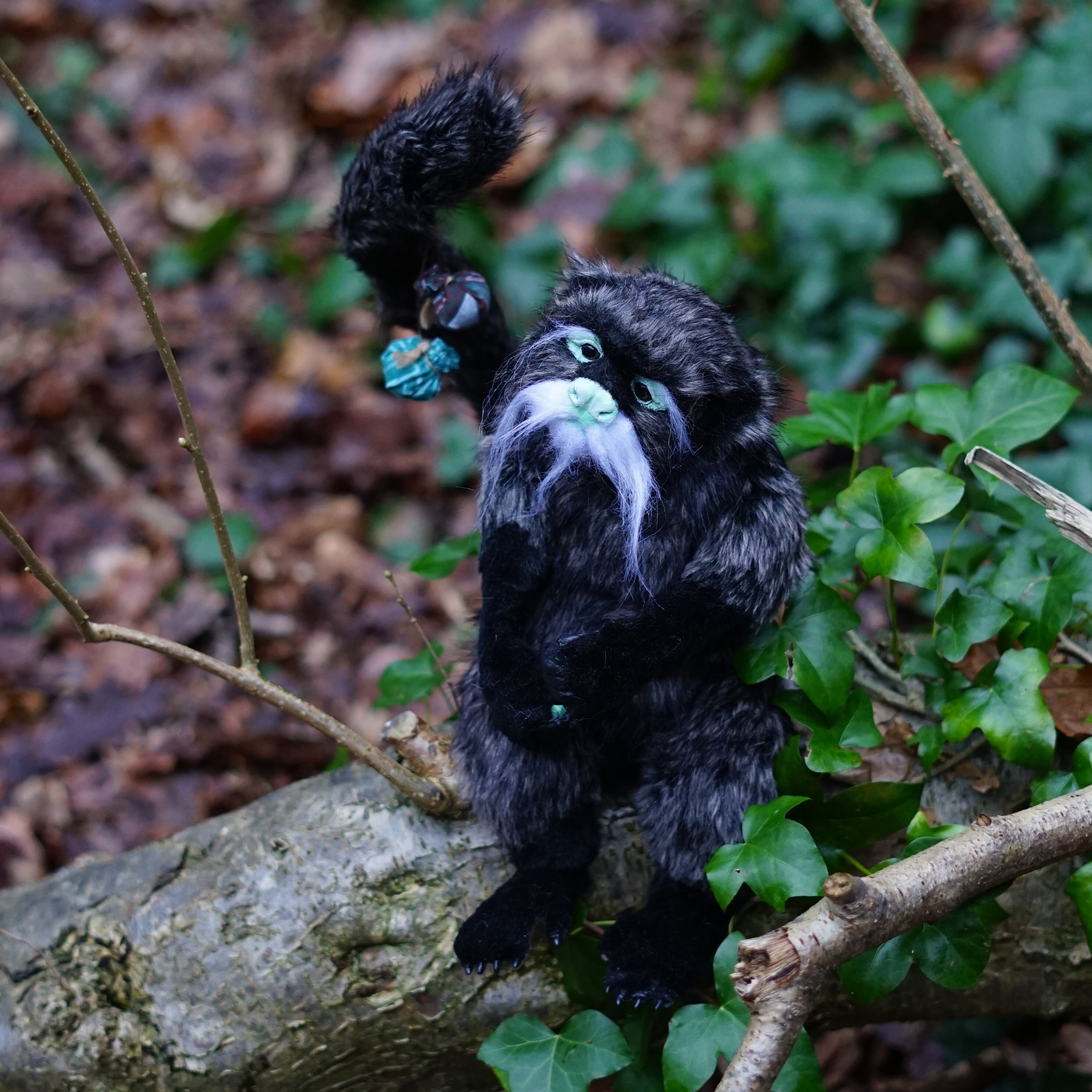 Simivende Spice Peddler Emperor Tamarin Monkey OOAK Fantasy Creature ...