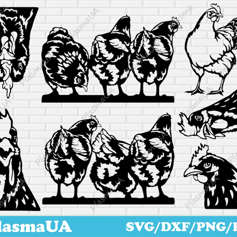 Chicken Svg - Etsy