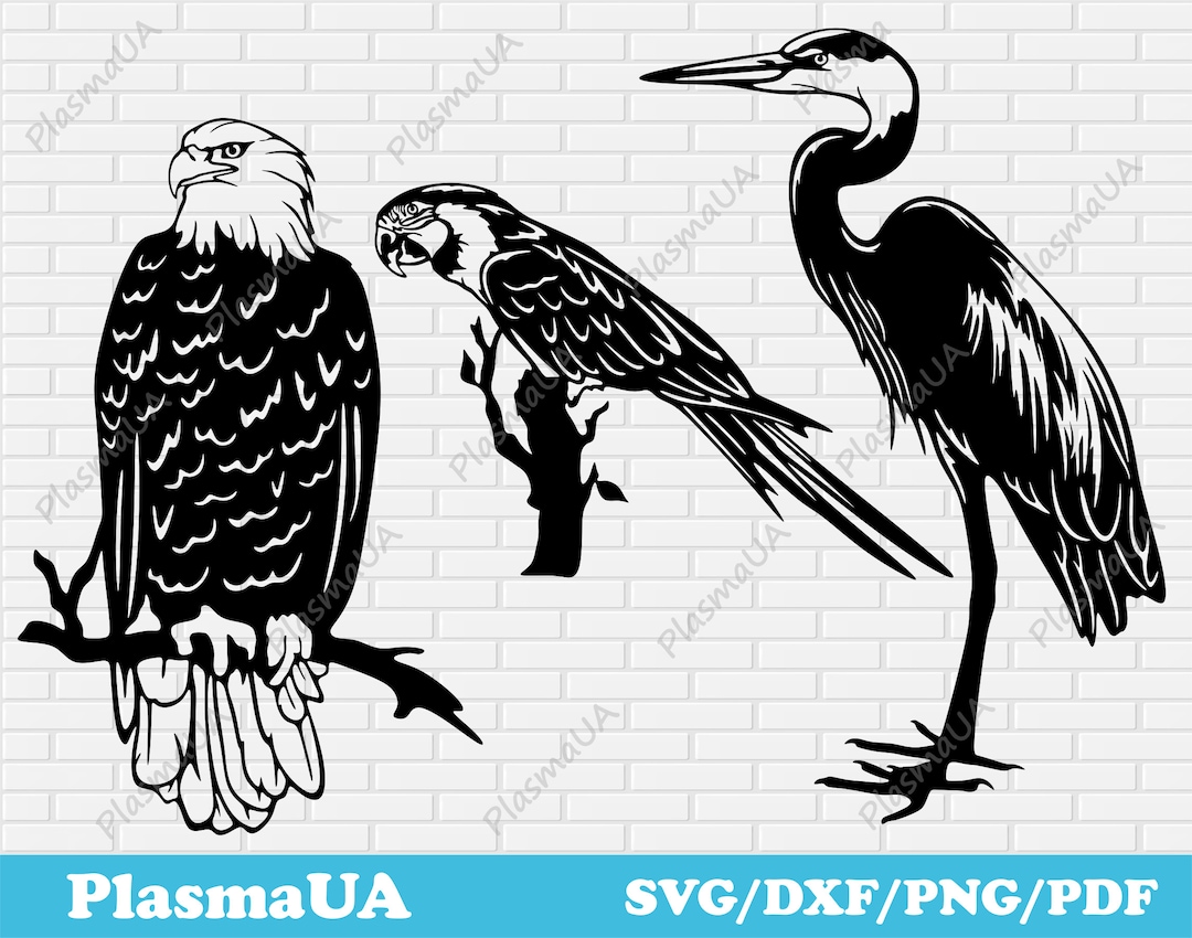 Birds Dxf Files, Parrot Dxf, Eagle Dxf, Great Blue Heron Dxf, Vector ...