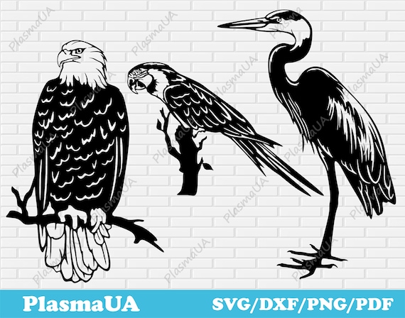 Birds Dxf Files Parrot Dxf Eagle Dxf Great Blue Heron Dxf - Etsy