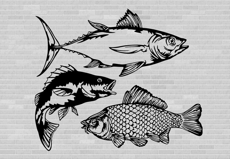 Vis svg vissen svg vissen clipart Spiegel Karper Tonijn | Etsy