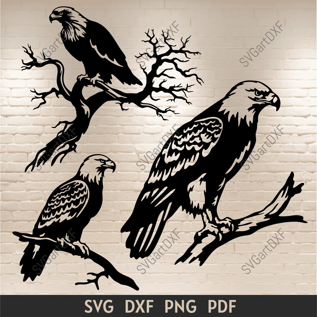 Bald Eagle Svg, Eagle Cut File for Cricut, Eagle Silhouette, Eagle on ...