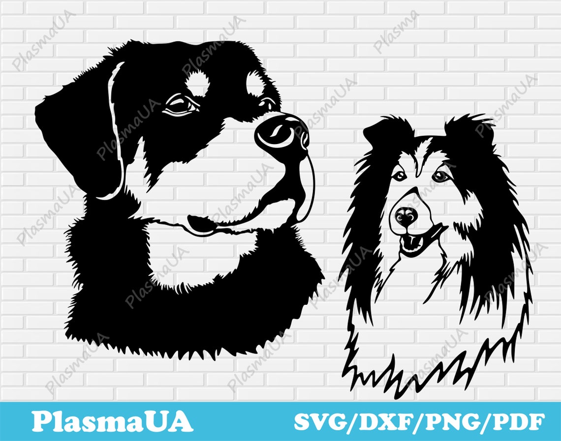 Dog Svg Dog Clipart Collie Dog Dog Svg Designs Dog Png - Etsy