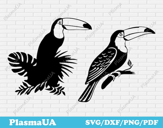 Toucan Bird Vector Toucan Svg Bird Cut Files Bird for - Etsy