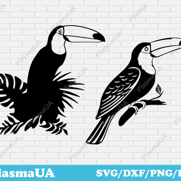 Toucan Svg - Etsy