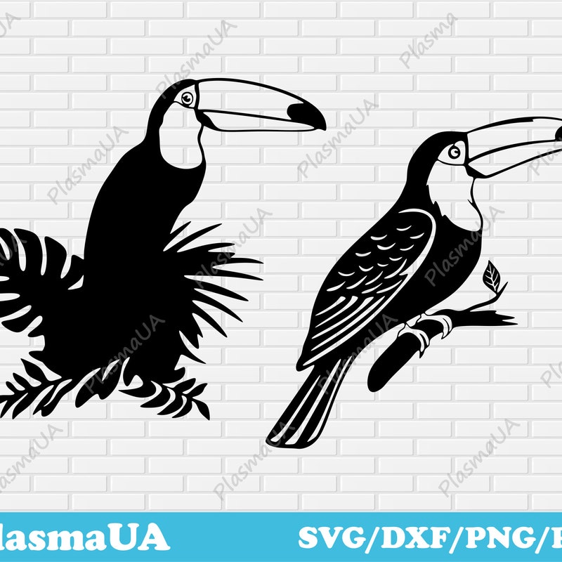 Toucan Svg - Etsy