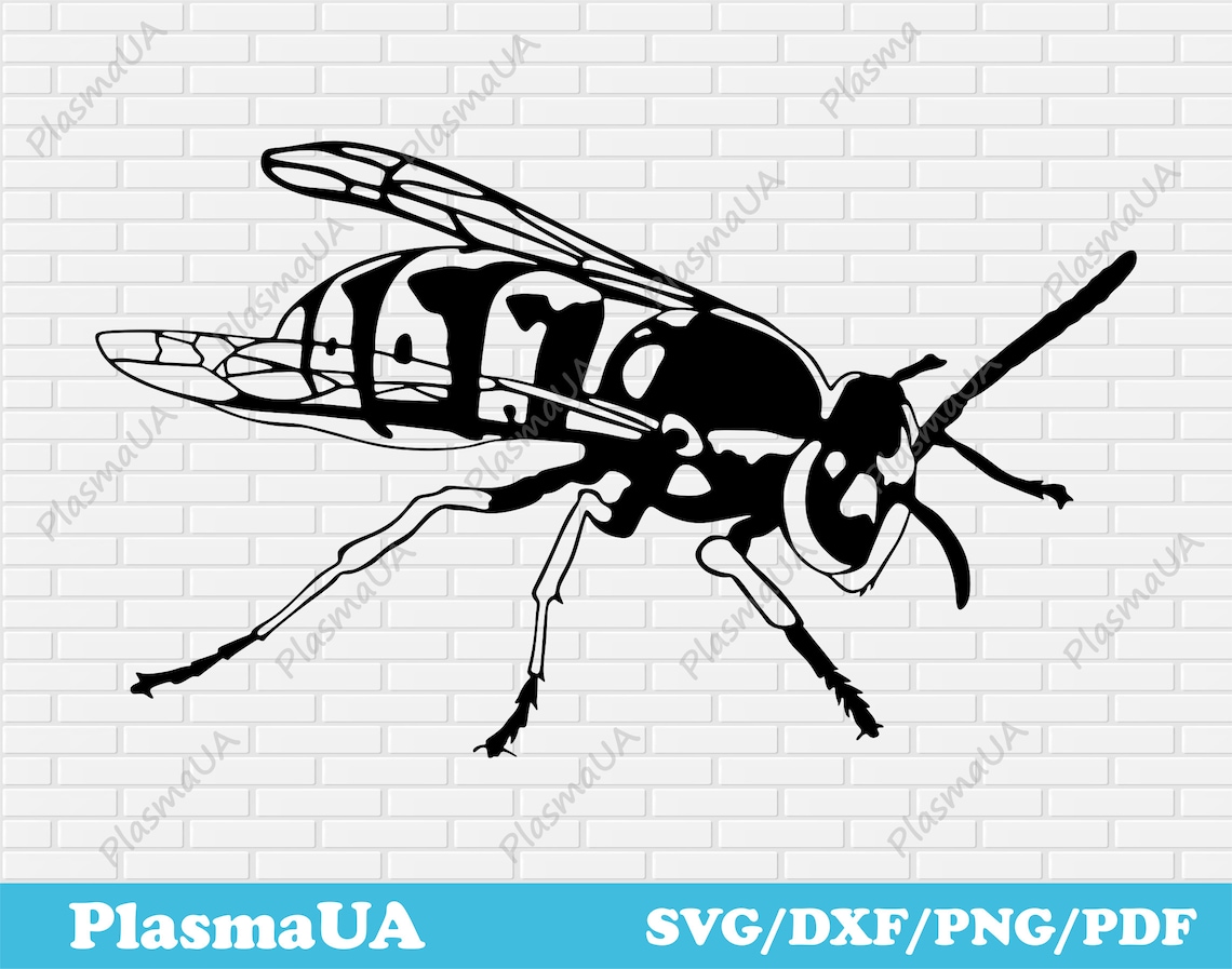 Wasp Clip Art Wasp Svg Insect Svg Svg for Cricut Summer - Etsy