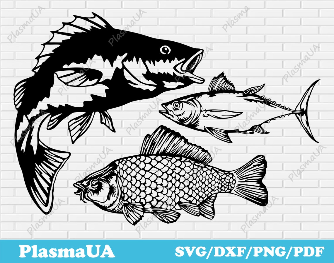Fish Svg Fishing Svg Fishing Clipart Mirror Carp Tuna - Etsy